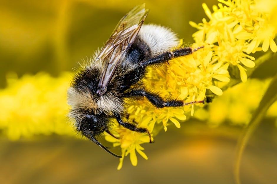 Download Reel-4 Scoring Manual PDF - Free Guide & Instructions